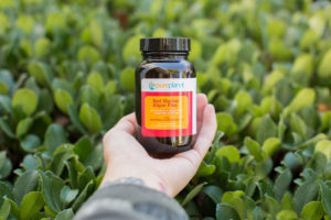 4 Reasons You Should Try Red Marine Algae Right Now – Pure Planet Blog