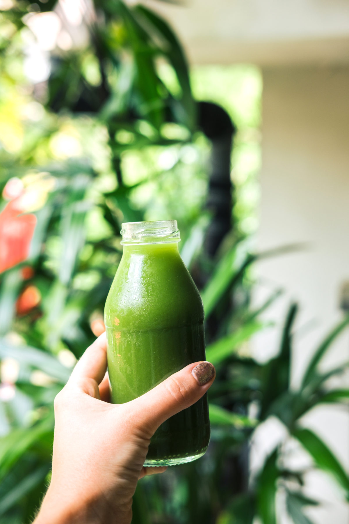 7 Chlorella Recipes You Need to Try (Hangover Cure? Oh, yes!) – Pure ...